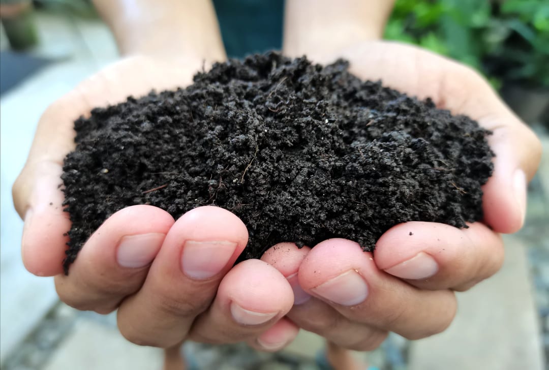 How to get lush in your area – Lush Soil Regenerator Plus (LSR+)